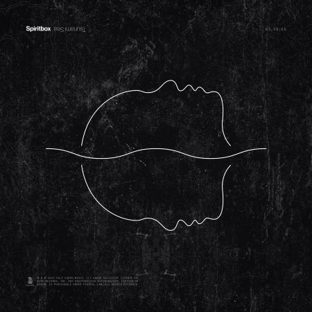 Descargar Spiritbox - Tsunami Sea (2025) - LiveNuMetal